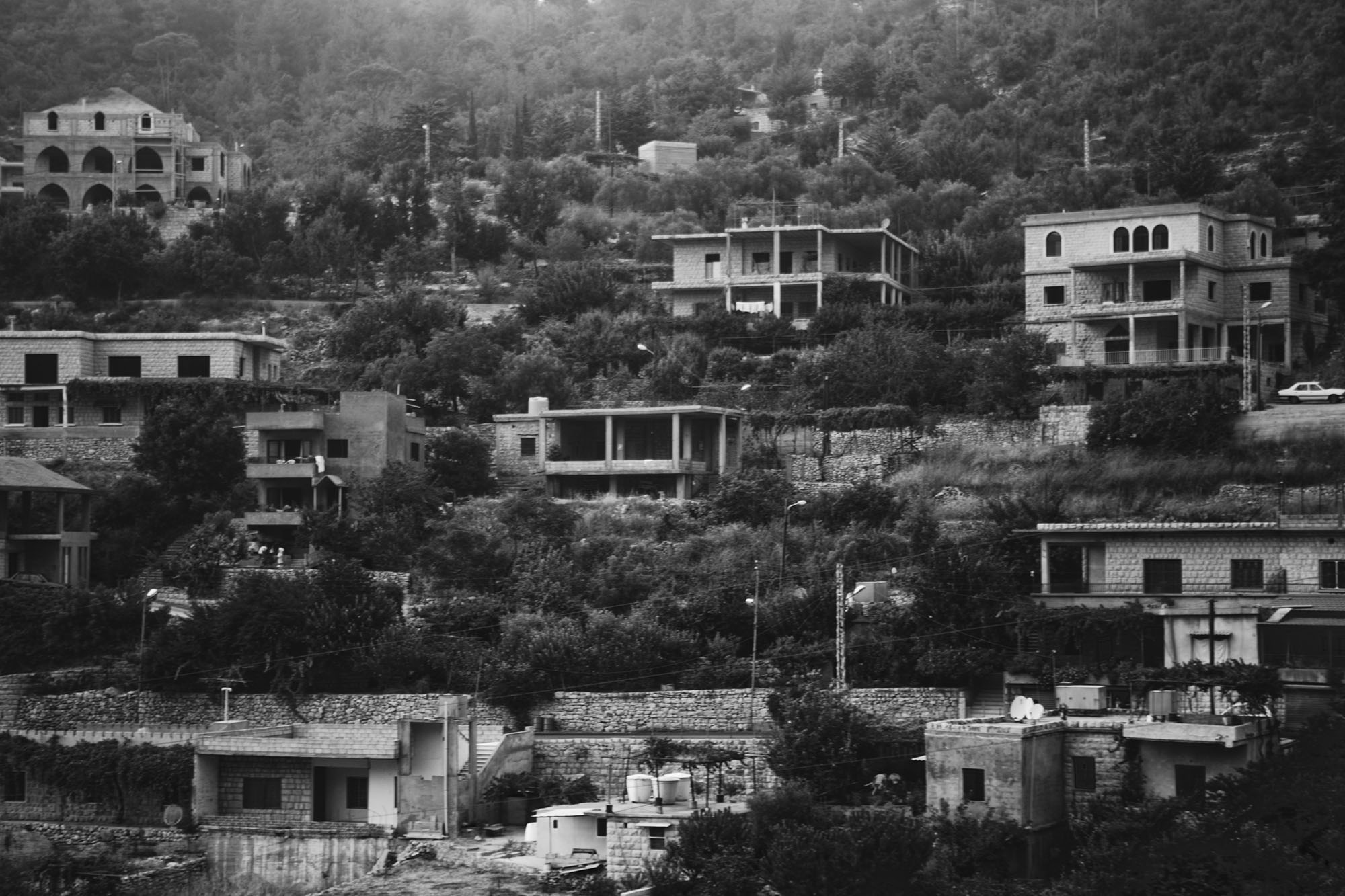 Survival Pulse | Daily Survival & Prepper News