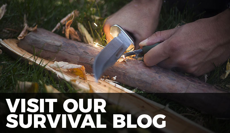 Best Survivalist & Prepper Sites to Follow: Top 50 Survival Blogs